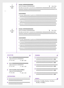 Modern Design-2P-Design 1 | Resumify